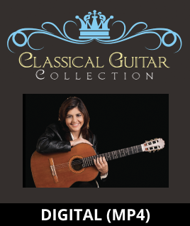 Special 2024 Guitar Promo – Guitar Control